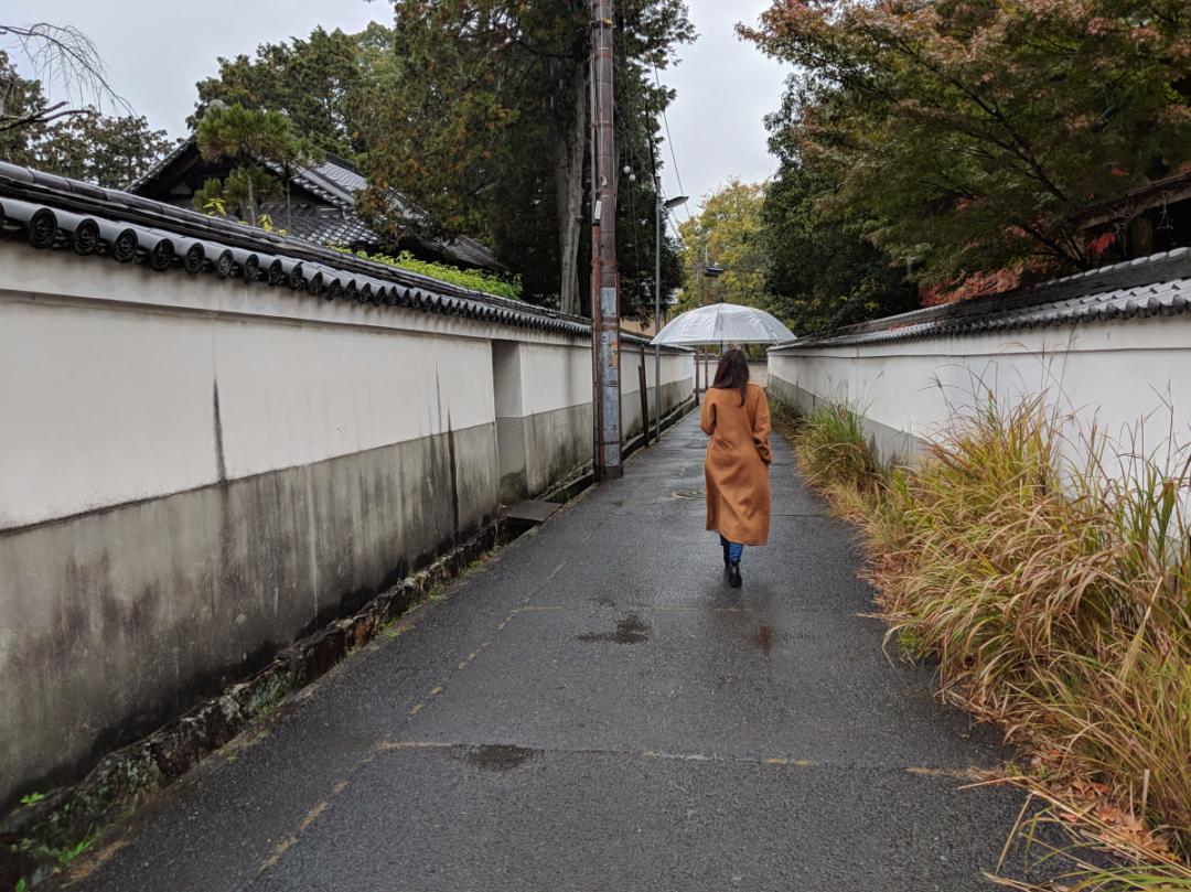 Photo Diary: A Rainy Day in Nara | Living Life Crazy