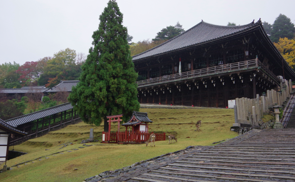 Photo Diary: A Rainy Day in Nara | Living Life Crazy