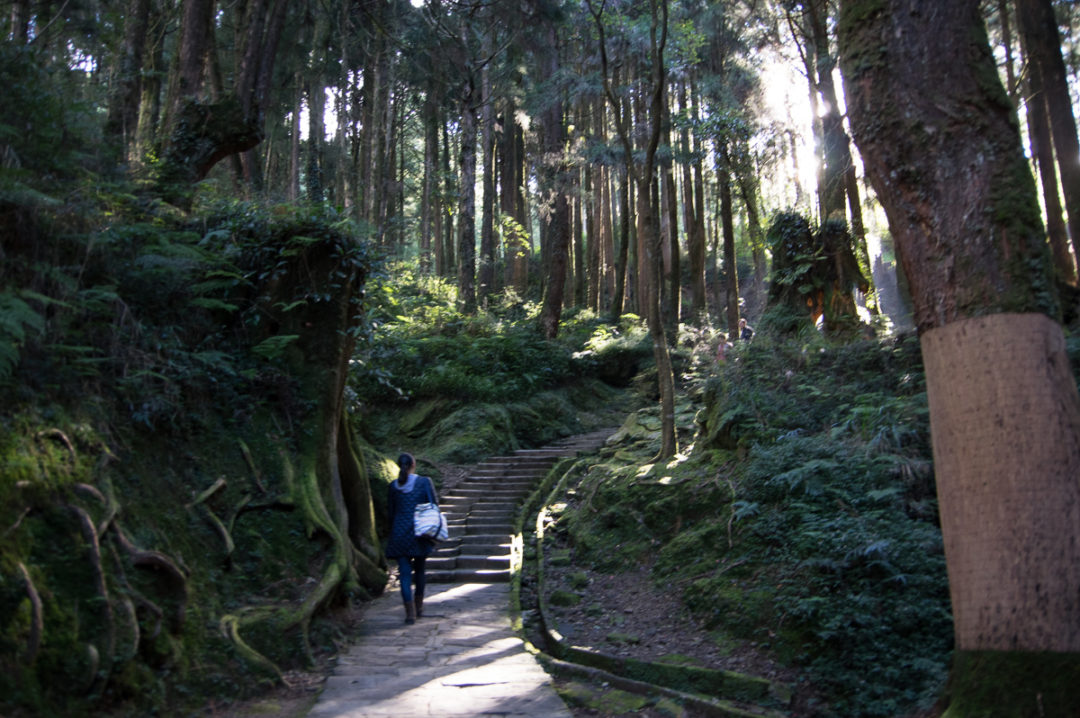 A Day Trip to Alishan | Living Life Crazy