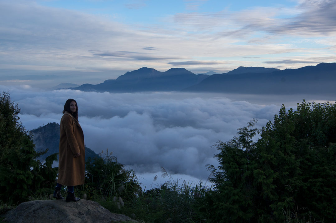 A Day Trip to Alishan | Living Life Crazy